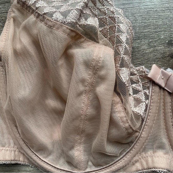 cleo | Intimates & Sleepwear | Cleo Panache Underwired Mesh Lace ...